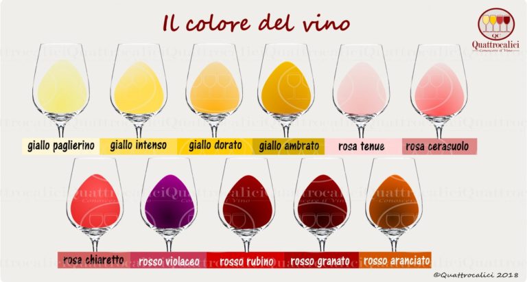 Colore del vino - Quattrocalici - Conoscere il Vino