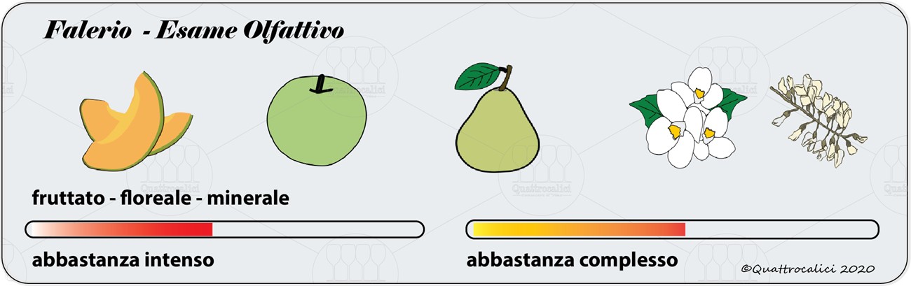Falerio - La Degustazione - Quattrocalici