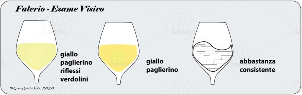 Falerio - La Degustazione - Quattrocalici