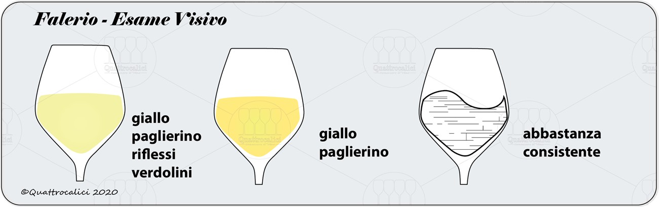 Falerio - La Degustazione - Quattrocalici