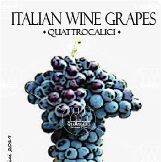 Erice DOC - Quattrocalici - Tutte le DOC della regione Sicilia