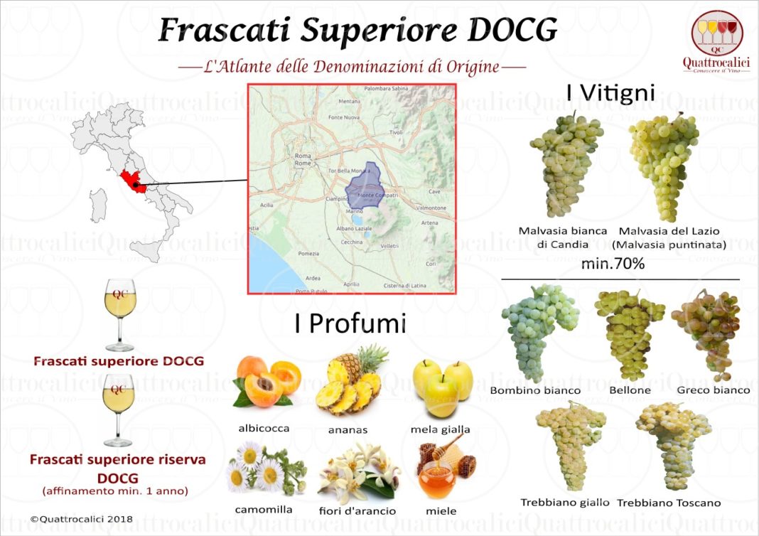 Frascati Superiore DOCG - Quattrocalici - Tutte le DOCG della regione Lazio