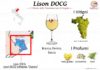 Lison DOCG - Quattrocalici - Tutte le DOCG della regione Veneto, Friuli ...