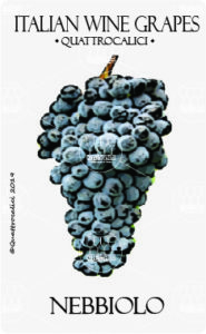 Nebbiolo - Quattrocalici - L'Atlante dei Vitigni