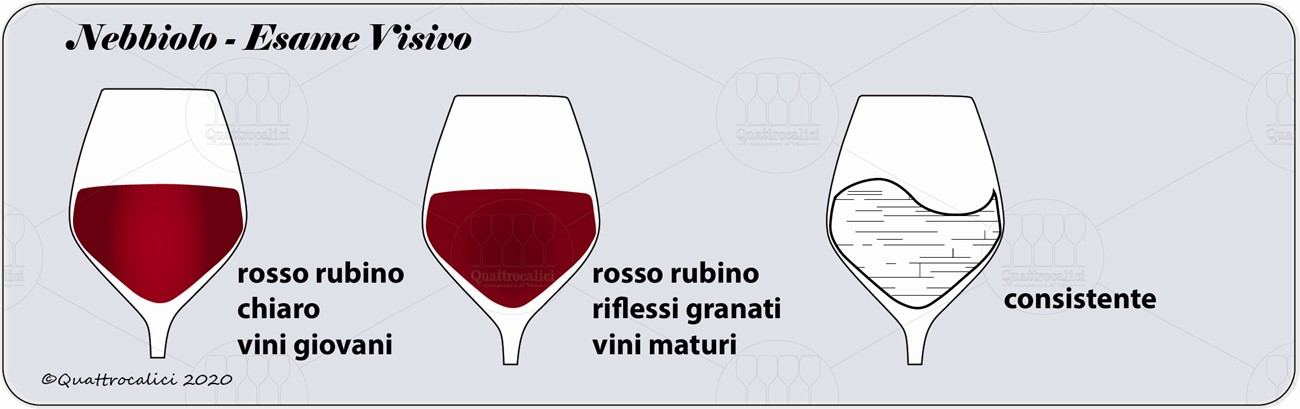 Nebbiolo - La Degustazione - Quattrocalici