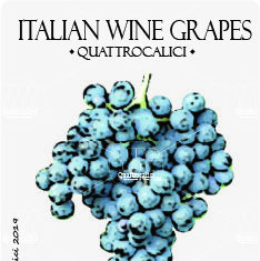 Erice DOC - Quattrocalici - Tutte le DOC della regione Sicilia