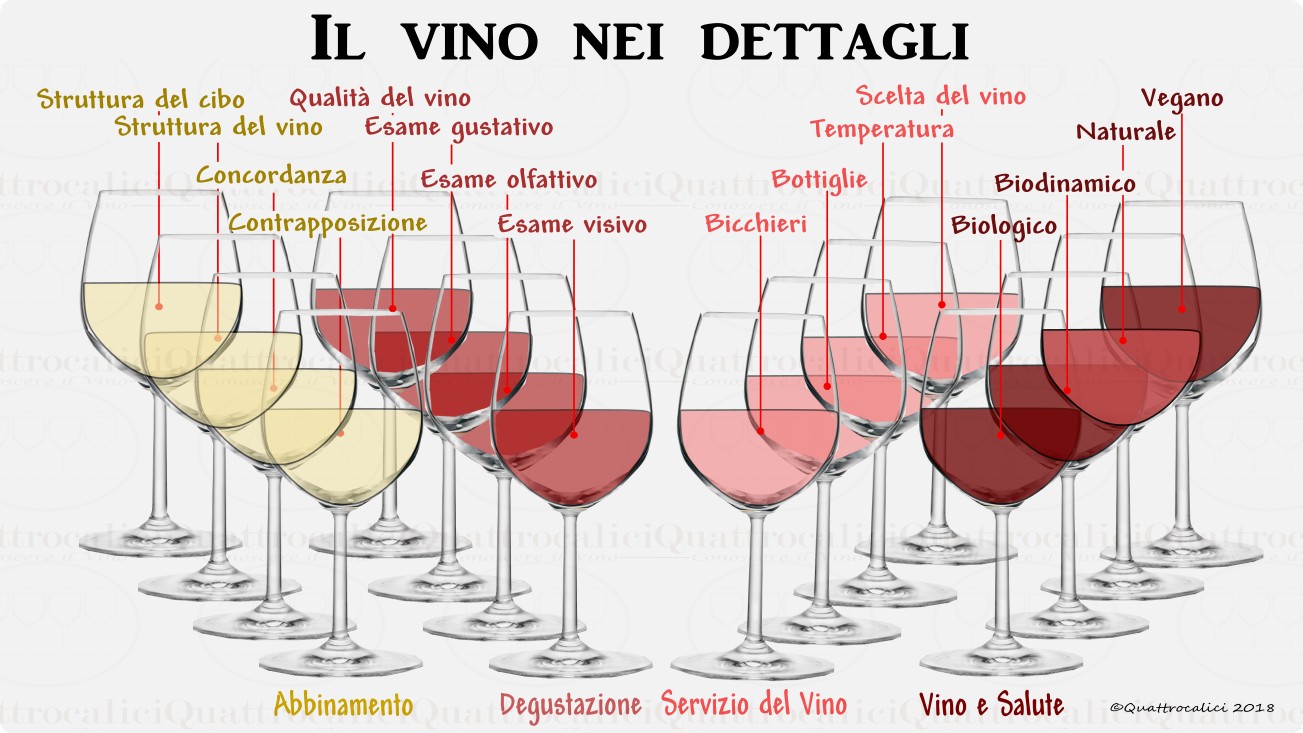 Il Vino nei dettagli - Conoscere il Vino - Quattrocalici Il Vino nei dettagli - Conoscere il Vino - Quattrocalici