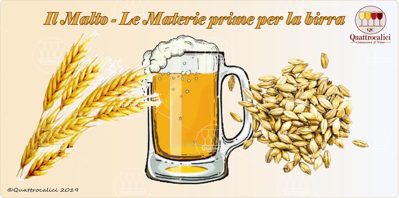 Malto d'Orzo - Materie prime della Birra - Quattrocalici