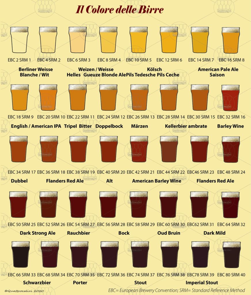 L'Esame visivo della birra - Quattrocalici