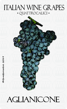 Aglianicone - Quattrocalici - L'Atlante dei Vitigni