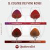 Colore dei vini rossi - Quattrocalici