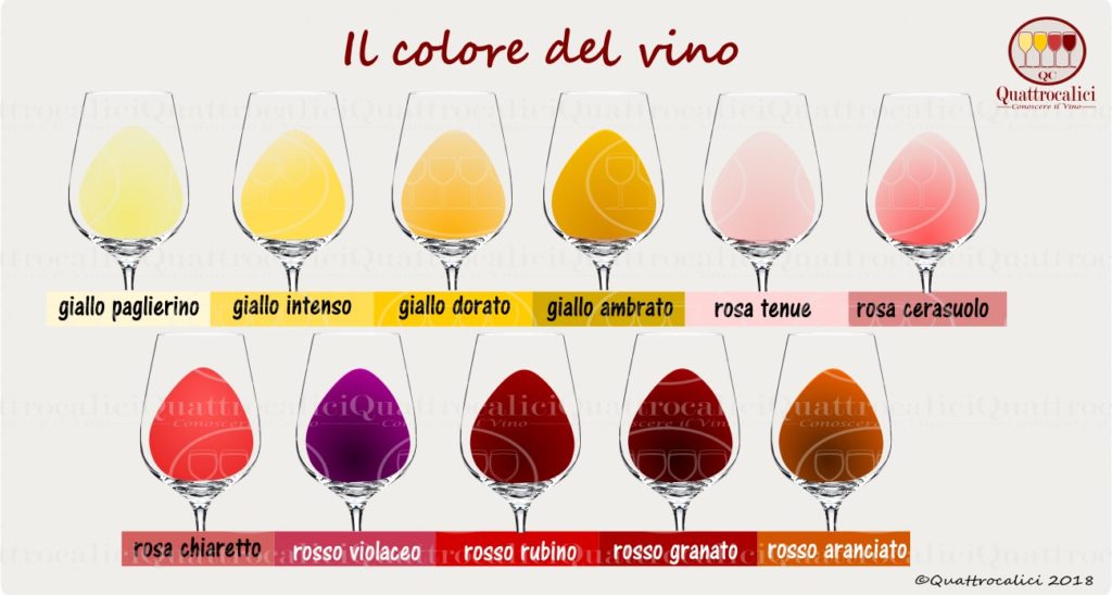 I colori del vino - Quattrocalici