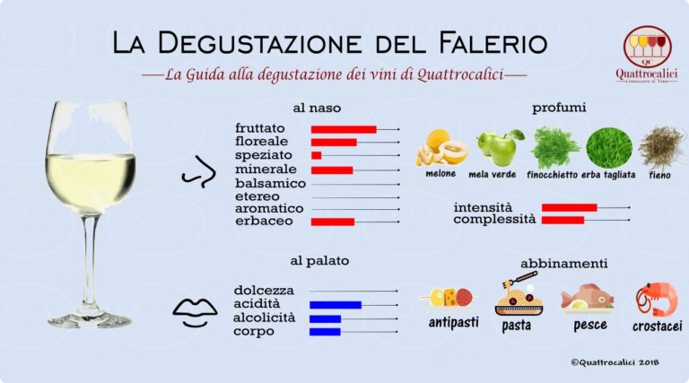 Falerio - La Degustazione - Quattrocalici