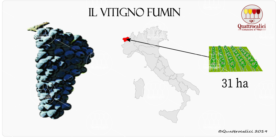 Fumin - Quattrocalici - L'Atlante dei Vitigni