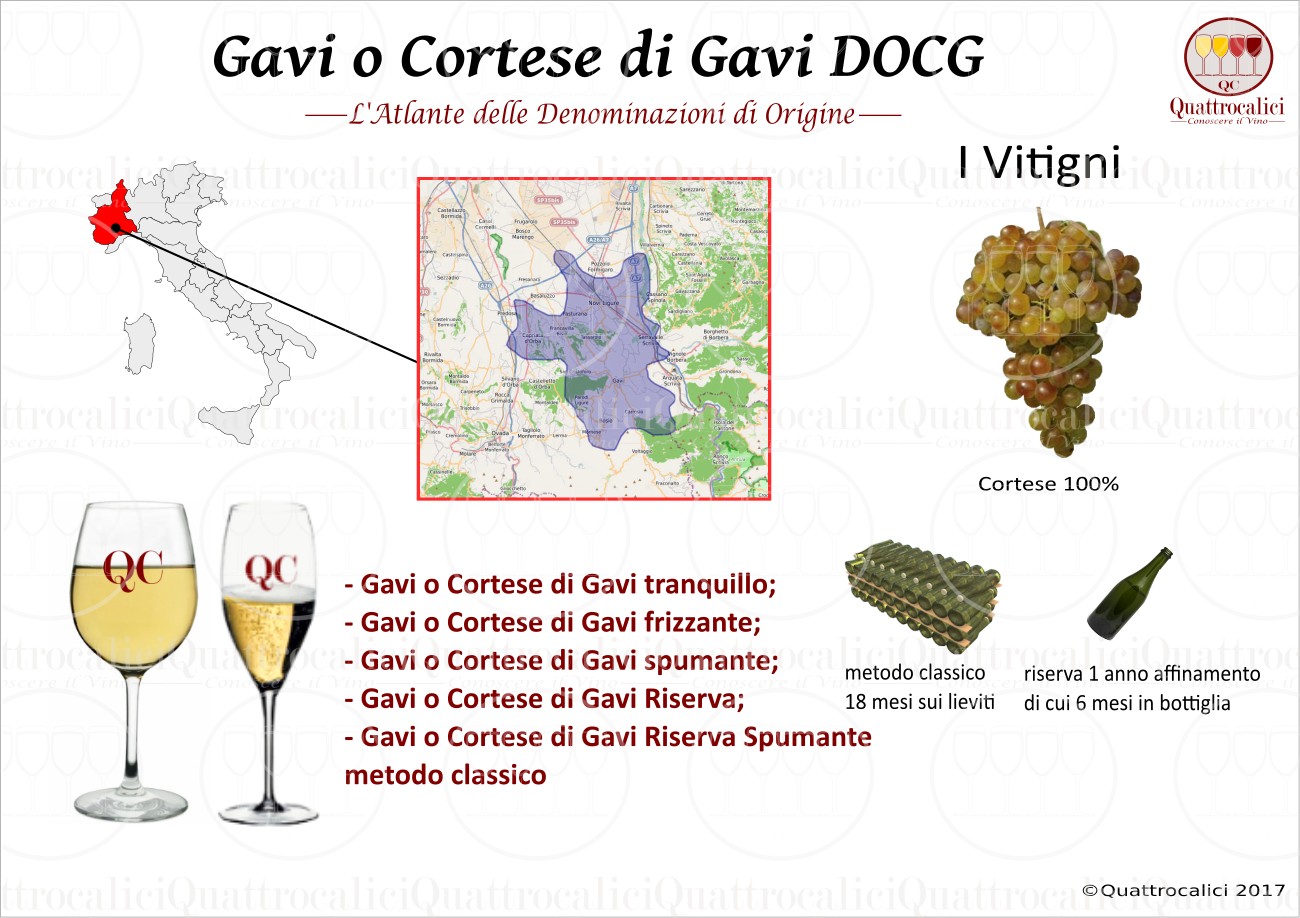 Gavi o Cortese di Gavi DOCG - Quattrocalici - Tutte le DOCG della ...