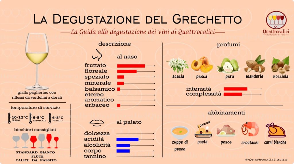 Grechetto - La Degustazione - Quattrocalici