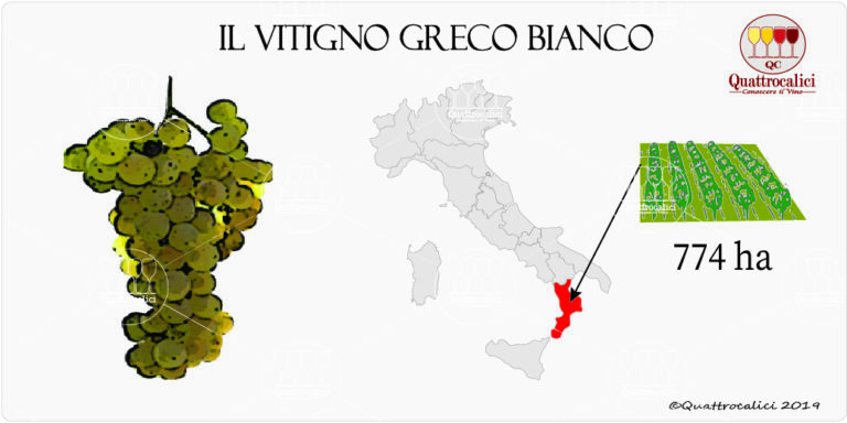 Greco Bianco - Quattrocalici - L'Atlante dei Vitigni
