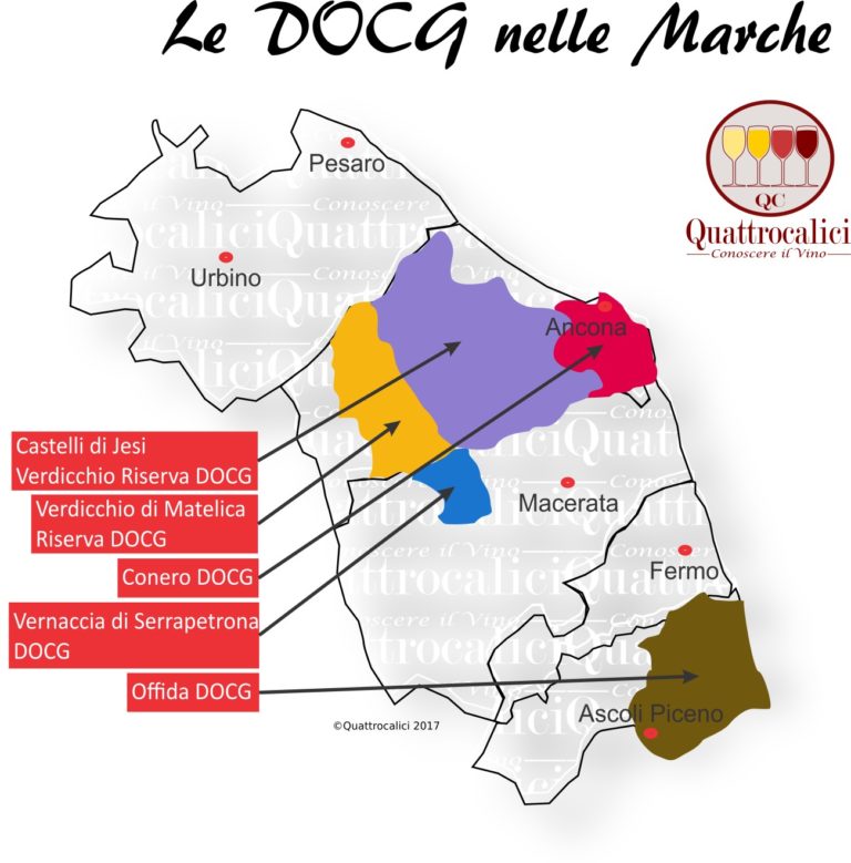 Il Vino nelle Marche - Quattrocalici - Le Regioni del Vino