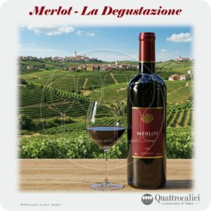 Merlot - La Degustazione - Quattrocalici