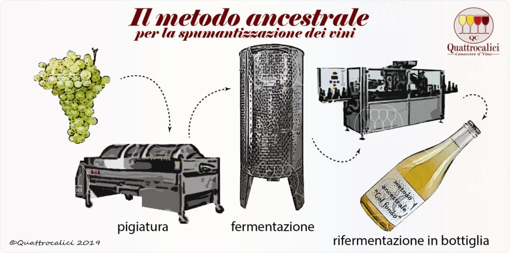 Metodo ancestrale o tradizionale - Quattrocalici