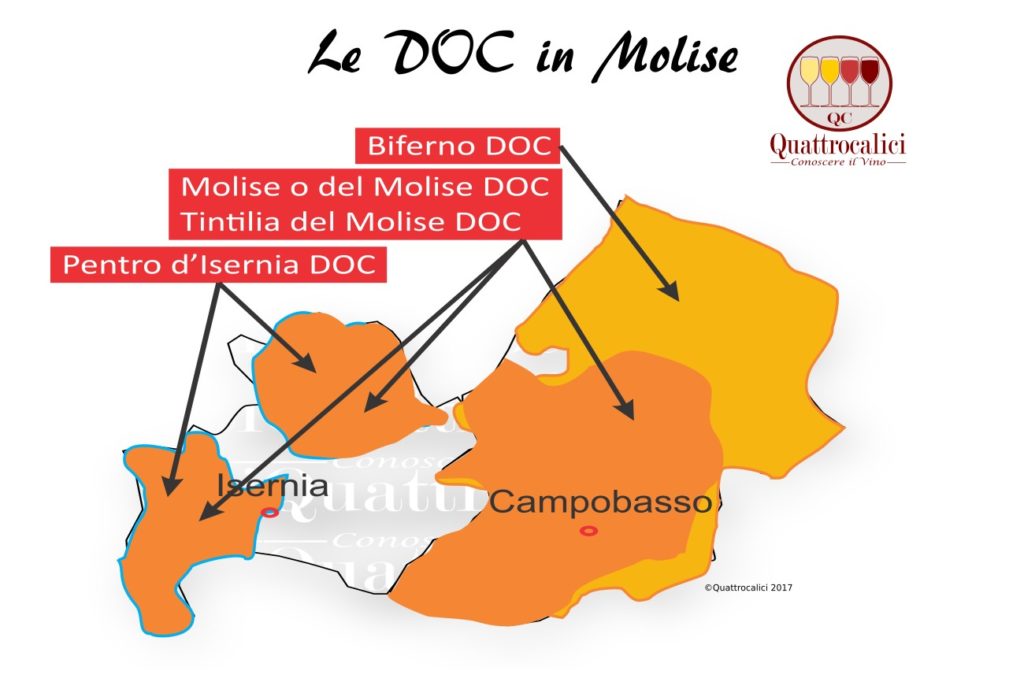 Il Vino in Molise - Quattrocalici - Le Regioni del Vino