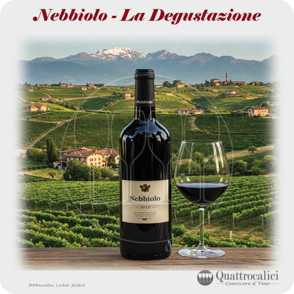 Nebbiolo - La Degustazione - Quattrocalici
