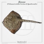 Razza - Quattrocalici - Il Glossario della gastronomia