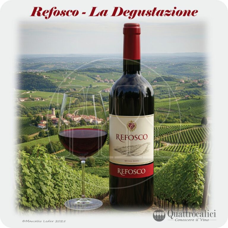 Refosco - La Degustazione - Quattrocalici