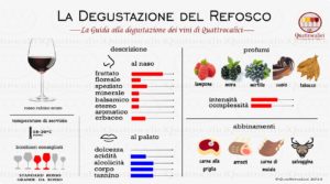 Refosco - La Degustazione - Quattrocalici