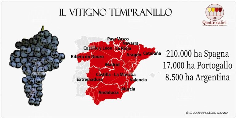 Tempranillo - Quattrocalici - L'Atlante dei Vitigni
