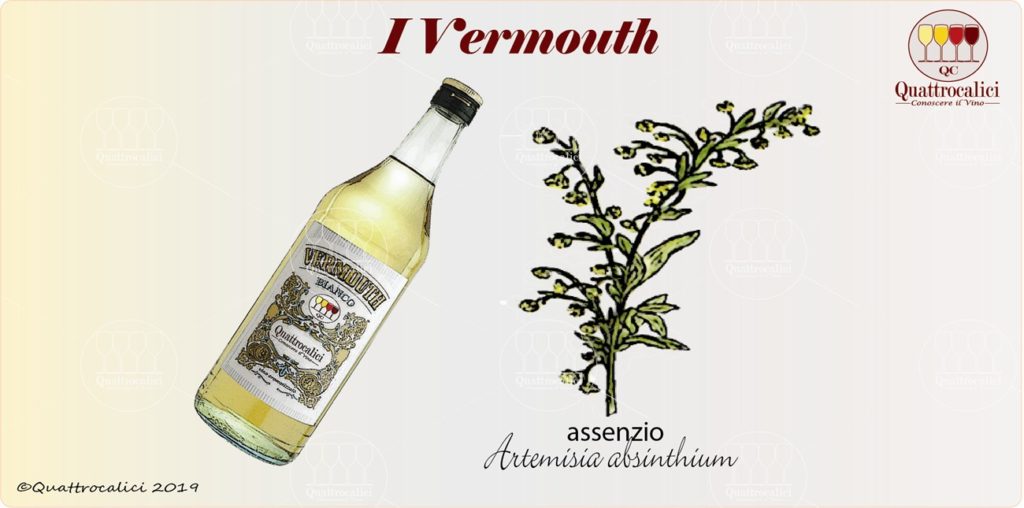 Il Vermouth o Vermut - Quattrocalici