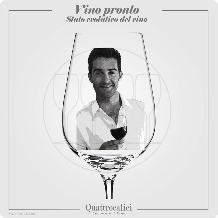Vino Pronto - Quattrocalici - Il Glossario della degustazione