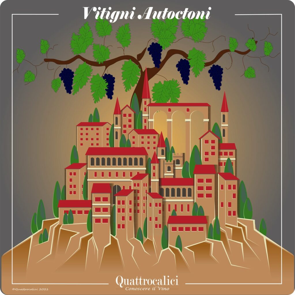 Vitigni autoctoni - Quattrocalici - Il Glossario del vino