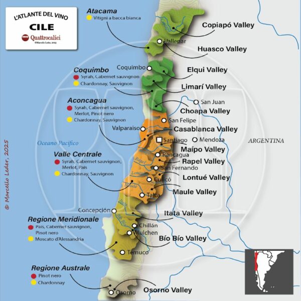 Cile - Il Vino nel Mondo - Quattrocalici