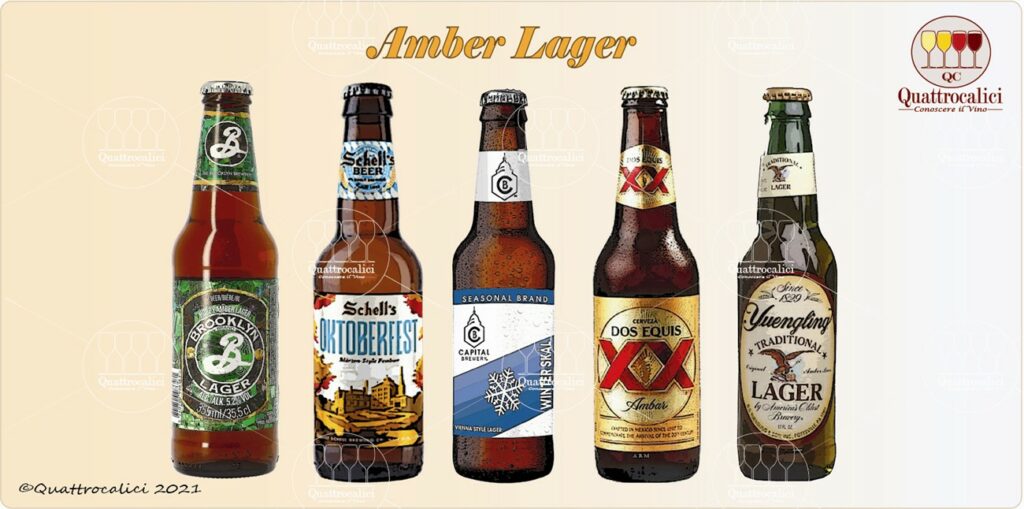 Amber Lager - Quattrocalici