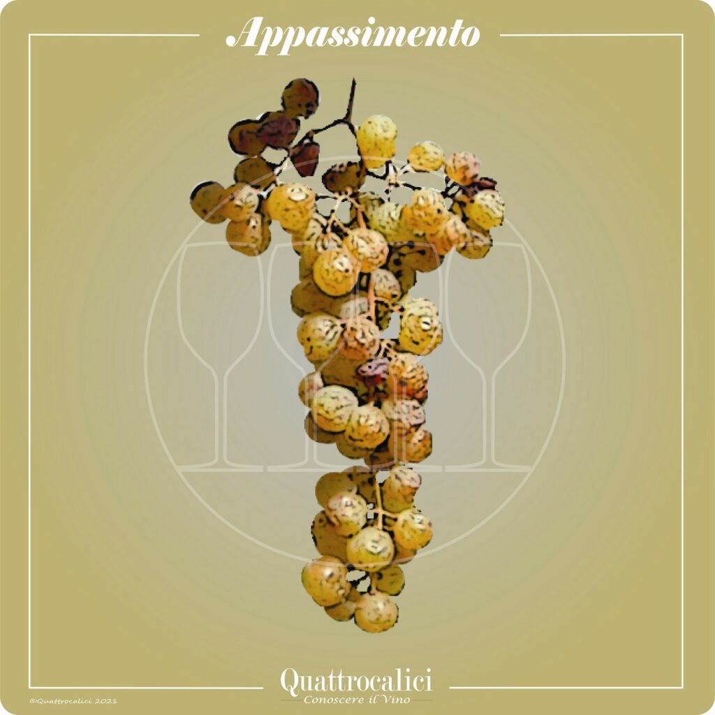 Appassimento - Quattrocalici - Il Glossario del vino