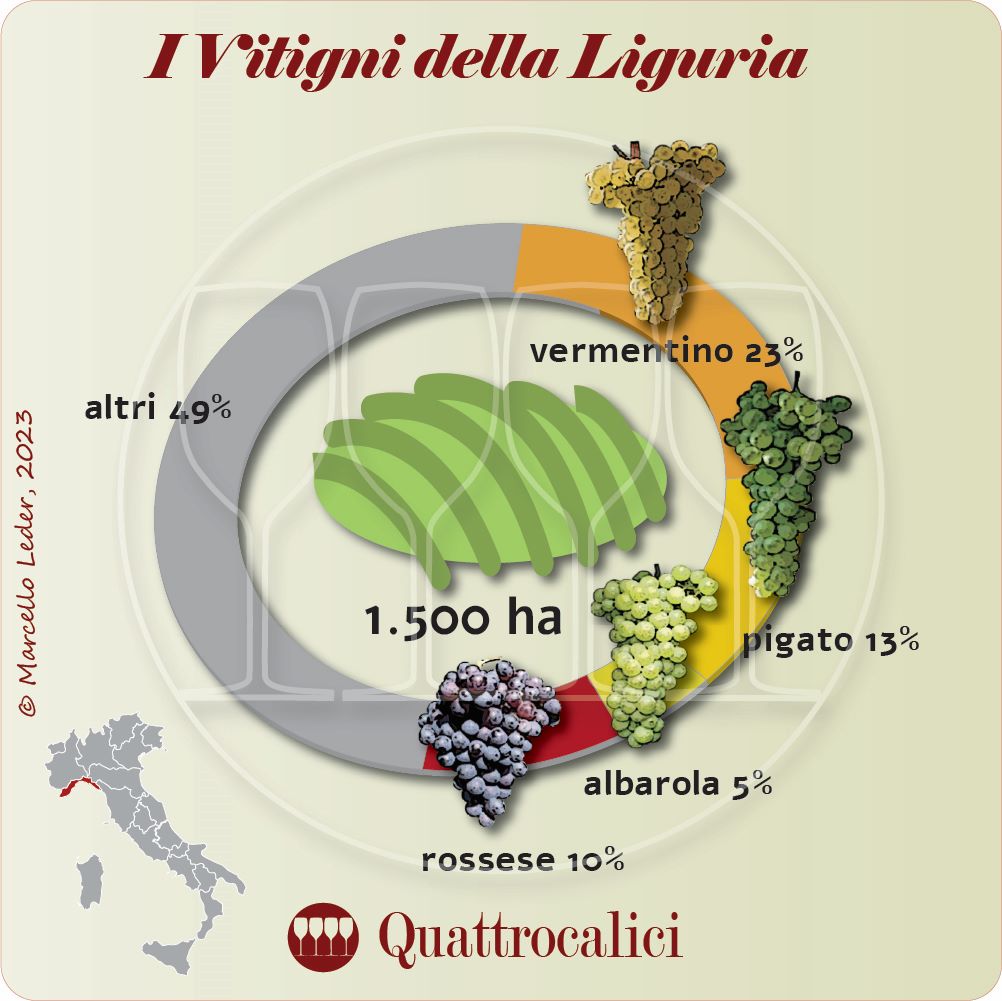 I Vitigni della Liguria - Quattrocalici
