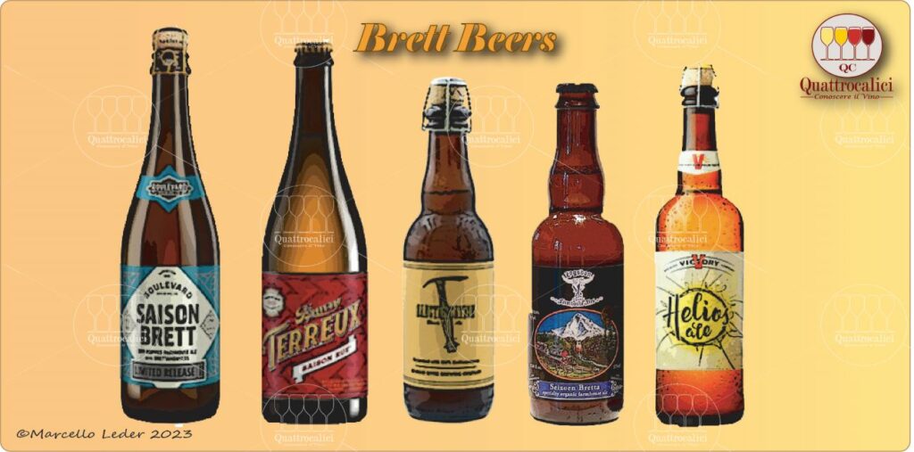 Brett Beer - Quattrocalici