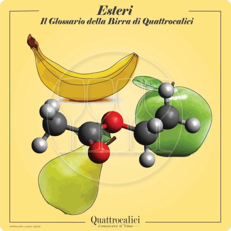 Esteri - Quattrocalici