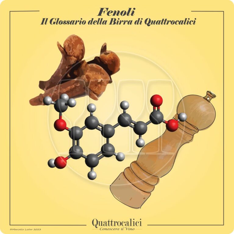Fenoli - Quattrocalici
