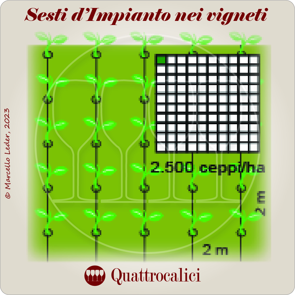 Sesti di impianto - Le domande sul vino - Quattrocalici