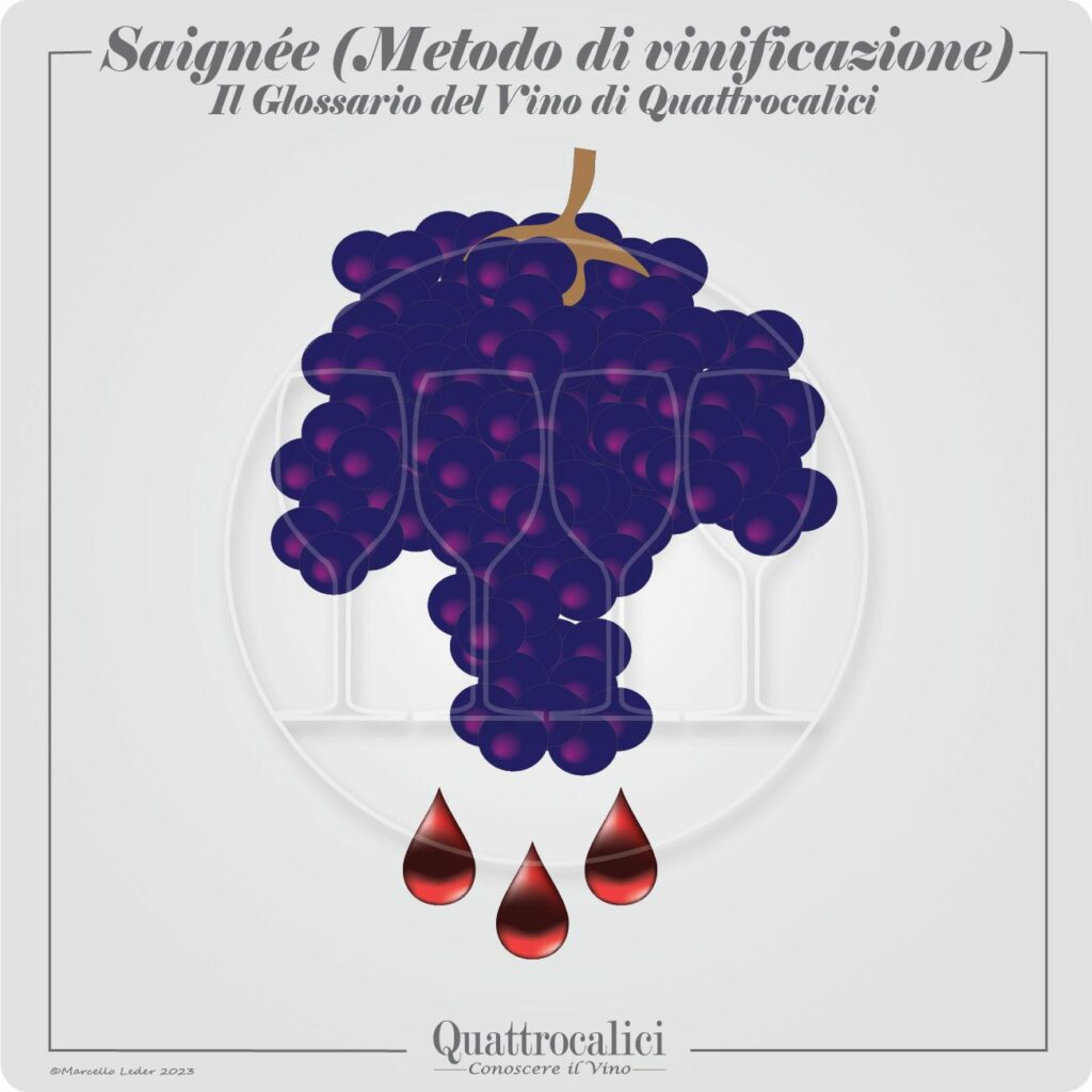 Il Metodo Saignée - Quattrocalici