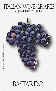 Bastardo - Quattrocalici - L'Atlante dei Vitigni