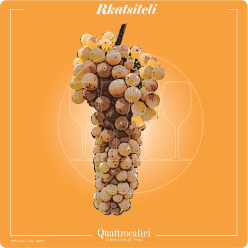 Rkatsiteli - Quattrocalici - L'Atlante dei Vitigni