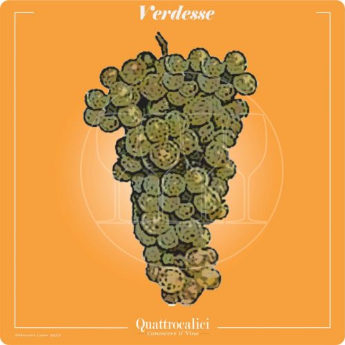 Verdesse - Quattrocalici - L'Atlante dei Vitigni